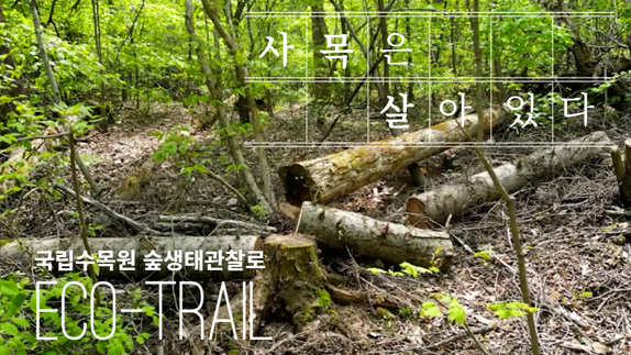 국립수목원 웹진